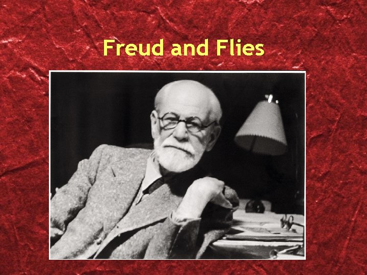 Freud and Flies Father of modern psychiatry First