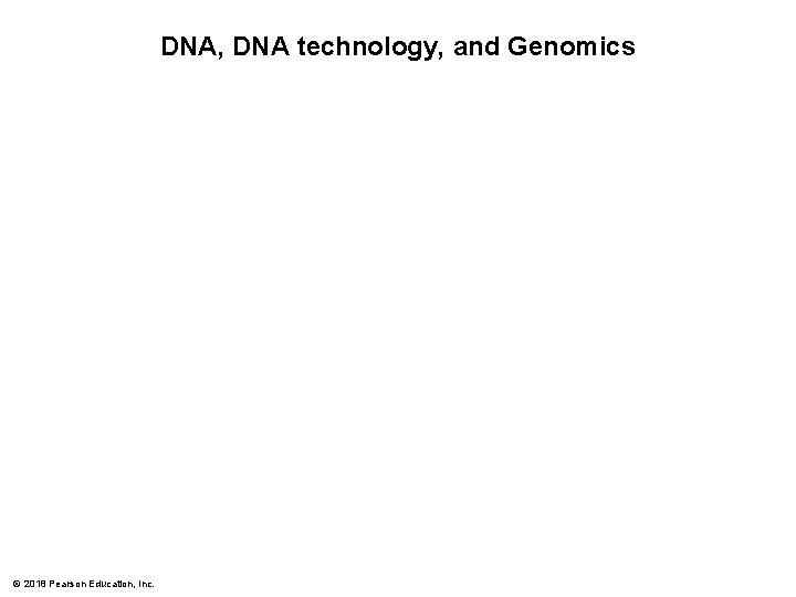 DNA DNA technology and Genomics 2018 Pearson Education