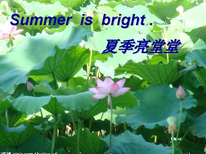 A Lets talk Which season is it spring