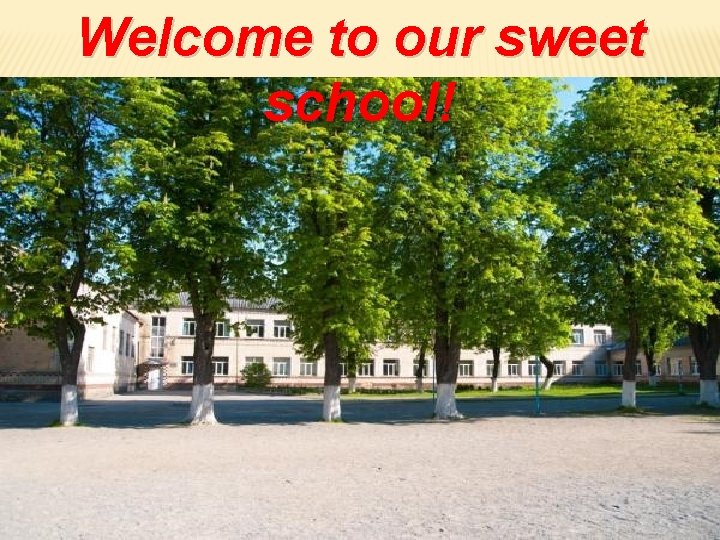 Welcome to our sweet school History of school
