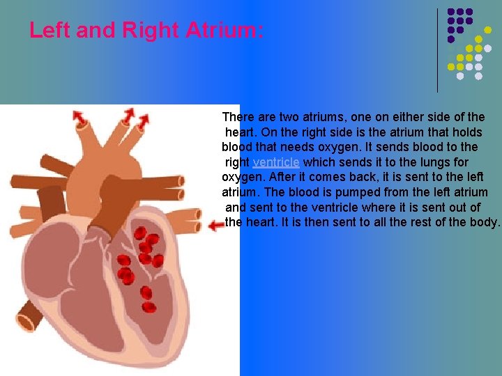 This is a animated picture of blood Flow