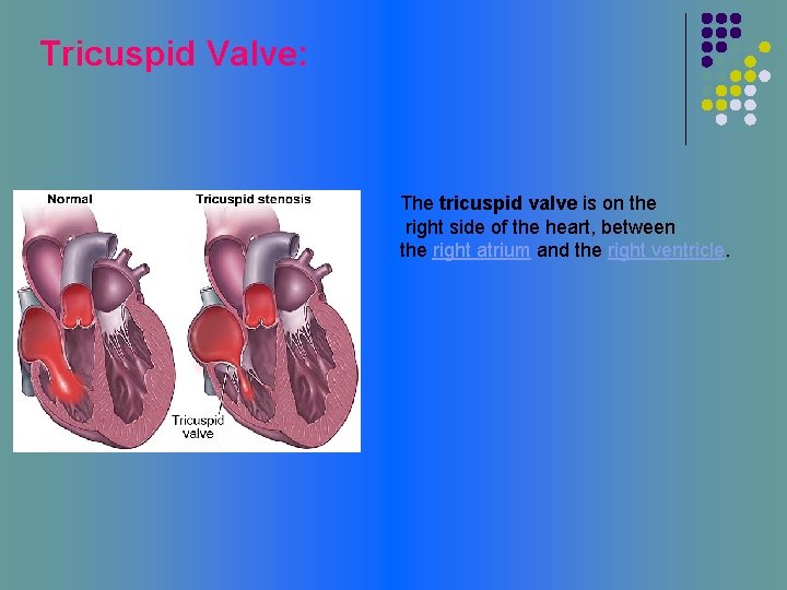This is a animated picture of blood Flow