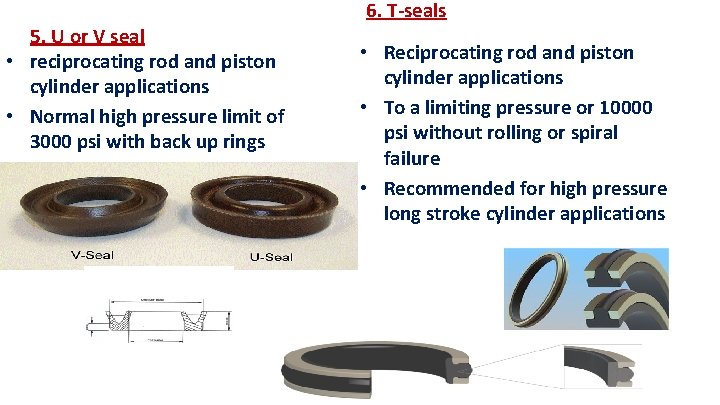 ELASTOMERIC RING SEALS Outline I Definition II Basic