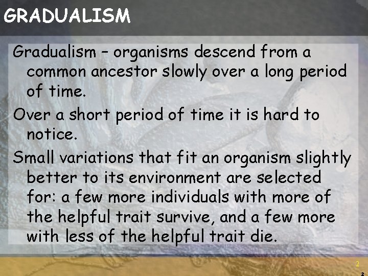 RATES OF EVOLUTION Gradualism and punctuated equilibrium are