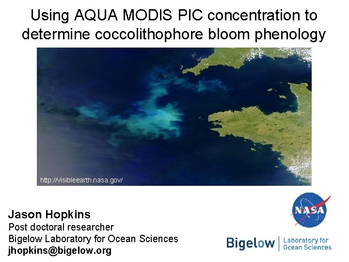 Using AQUA MODIS PIC concentration to determine coccolithophore