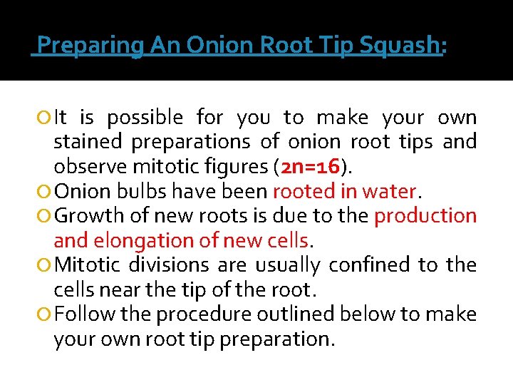 Practical Of Genetics BIOL 2121 Lab 2 Mitosis