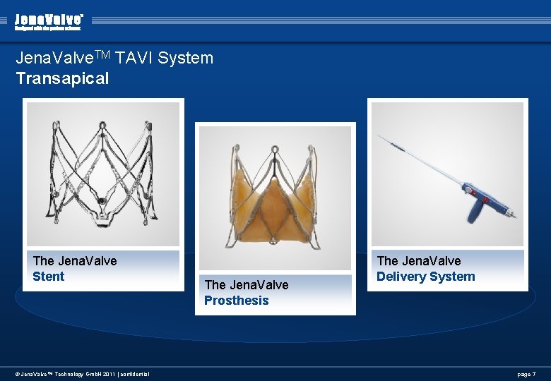 Jena Valves Aortic Clip Concept for Aortic Valve