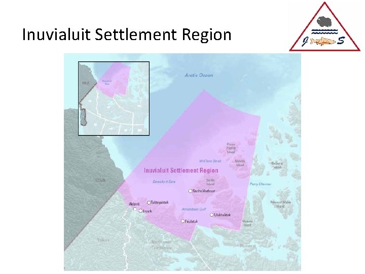 Polar Bears in the Deep Offshore Regions of