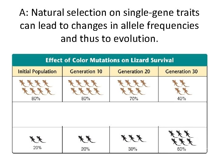 Evolution as Genetic Change Nazca Booby Clip Natural