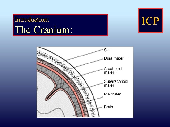 Intracranial Pressure ICP Ahmed Alkhani MD FRCSC ABNS