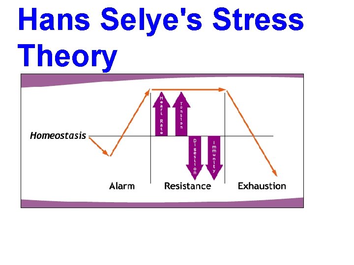 AP Psychology Opening WarmUp Whats your biggest peeve