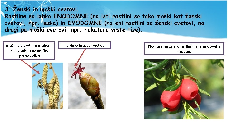 PREDMET Naravoslovje 9 ura RAZRED 6 NASLOV ZGRADBA