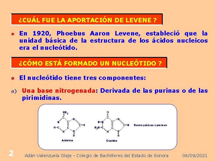 Estructura de los cidos nucleicos DNA y RNA