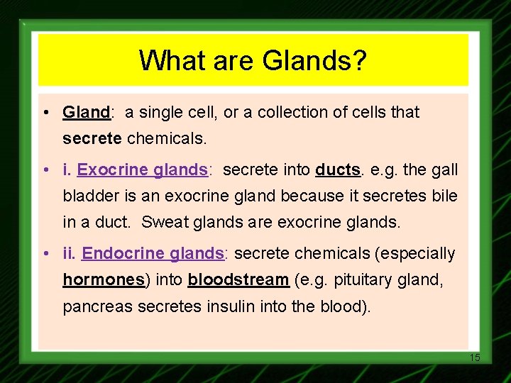 Foundation Block Organisation of the Human Body By