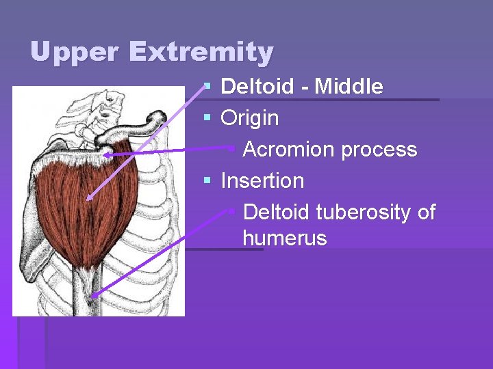 Evaluation Assessment Ligament Joint Nerve Injuries Introduction Watch