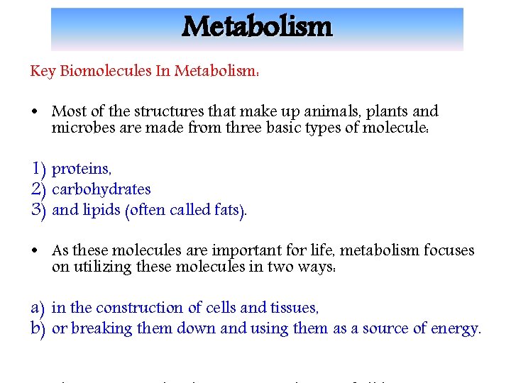 Physiology 4 Metbolism Metabolism is the set of