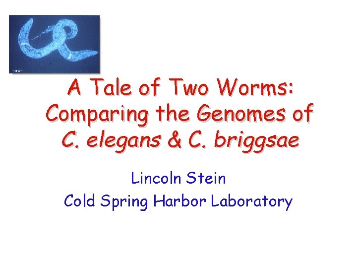 A Tale of Two Worms Comparing the Genomes
