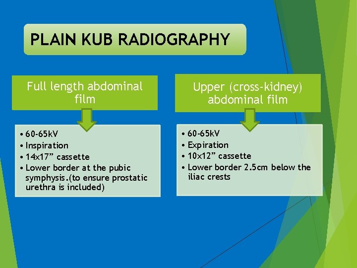 IMAGING TECHNIQUES IN URINARY SYSTEM HISTORY Dates back