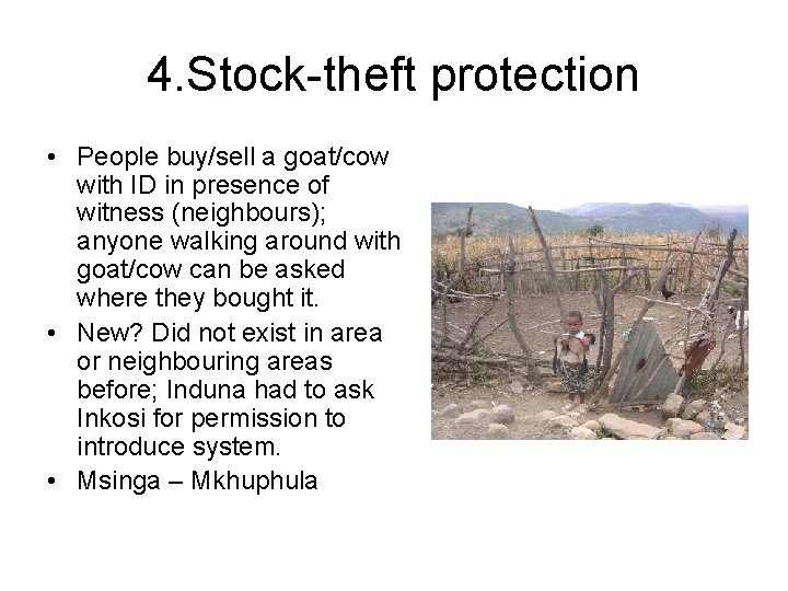 Innovations Msinga Mkhphula 1 Sorghum bird protection Burn