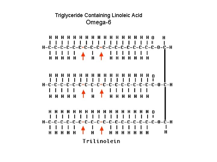 The Lipids Triglycerides Phospholipids and Sterols Lipids Objectives