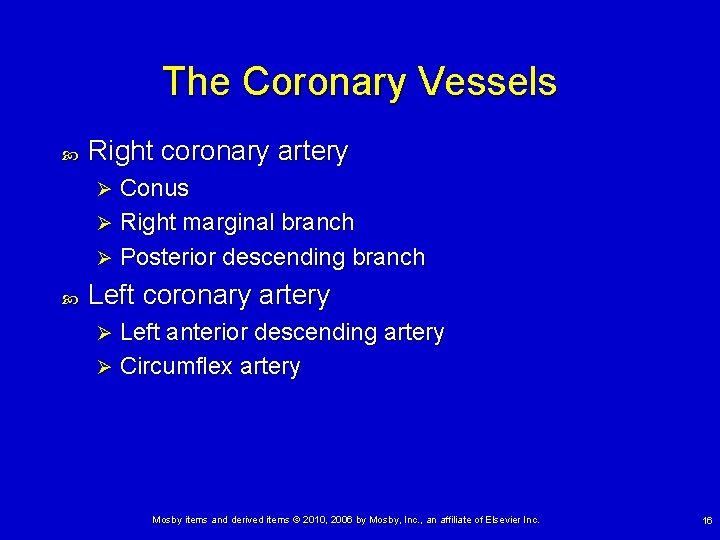 Chapter 29 Structure and Function of the Cardiovascular