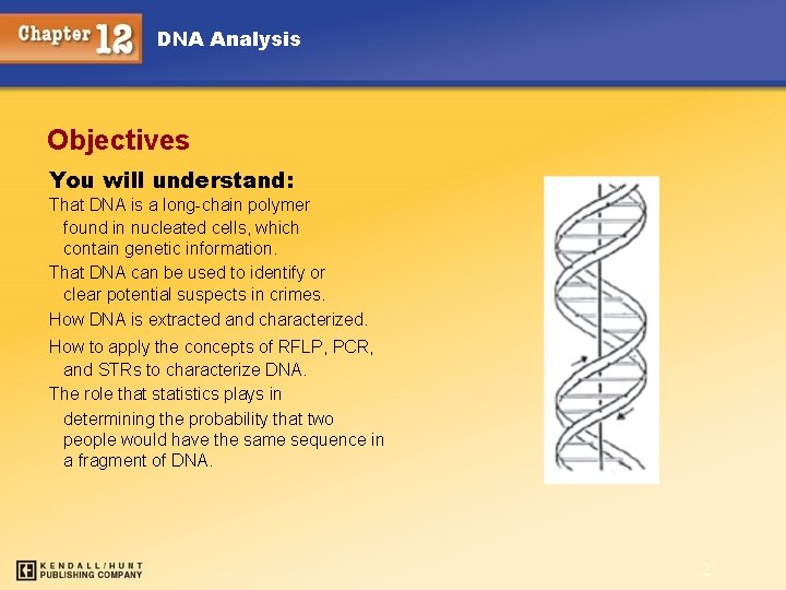 DNA Analysis DNA Analysis Objectives You will understand