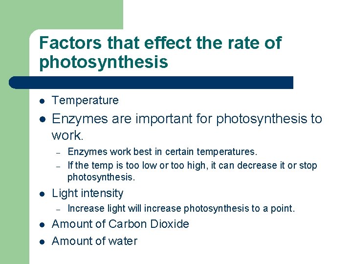 Photosynthesis Using Light Energy to Make Food Photosynthesis