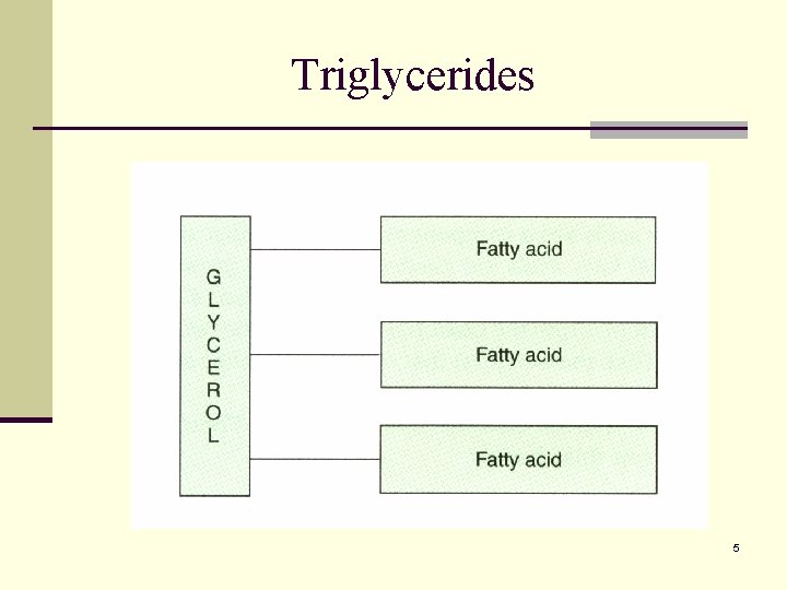 Chapter 4 Lipids Fats and Oils 1 Lipids