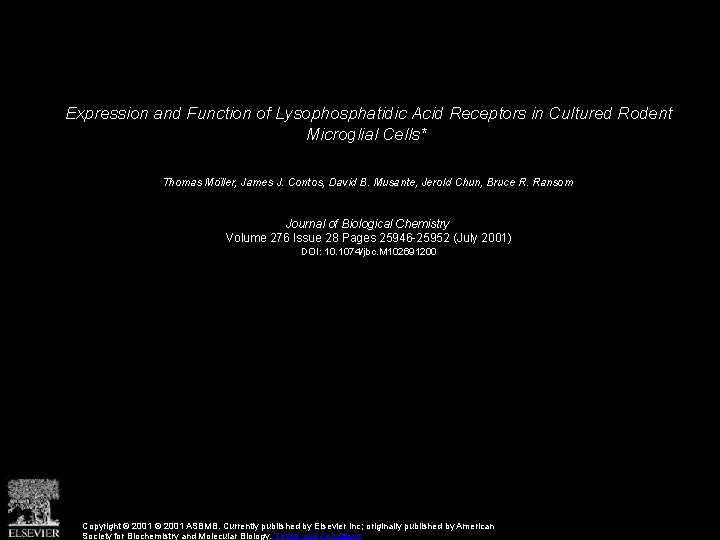 Expression and Function of Lysophosphatidic Acid Receptors in