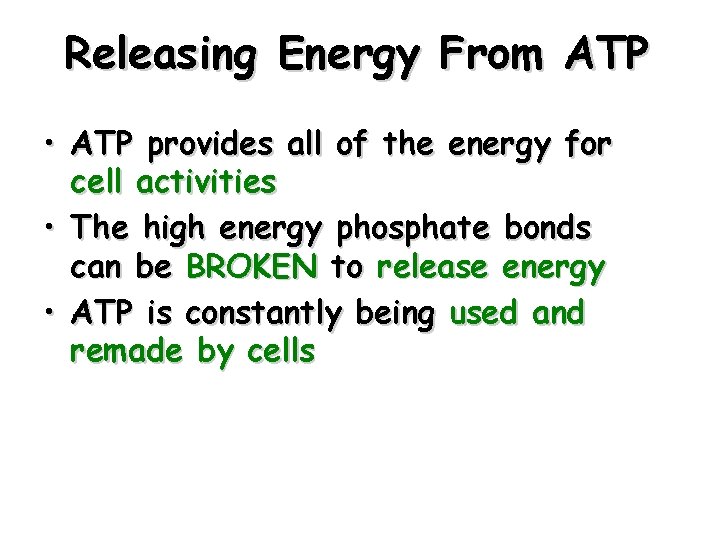Cellular Respiration Both plant and animal cells carry