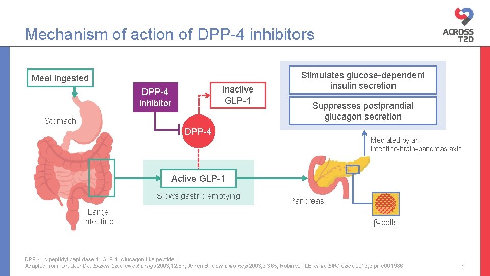 Cardiovascular outcomes trials with DPP4 inhibitors EDUCATIONAL SLIDE