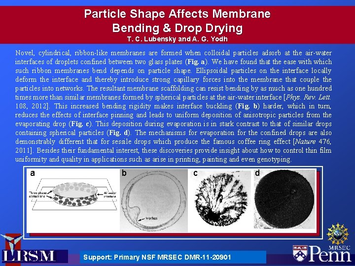 Particle Shape Affects Membrane Bending Drop Drying T