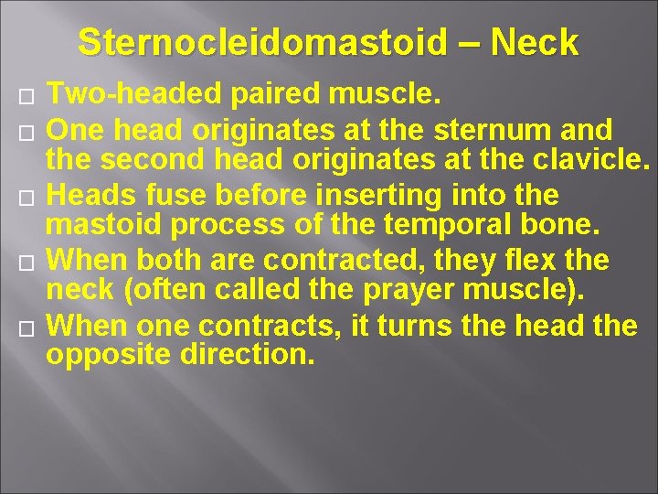 Muscles of Head Neck By Dr Pardeep Kumar