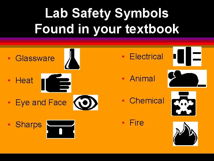 Lab Safety Safety is the Responsibility of EVERYONE