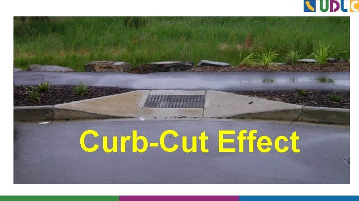 Universal Design for Learning UDL in a Distance