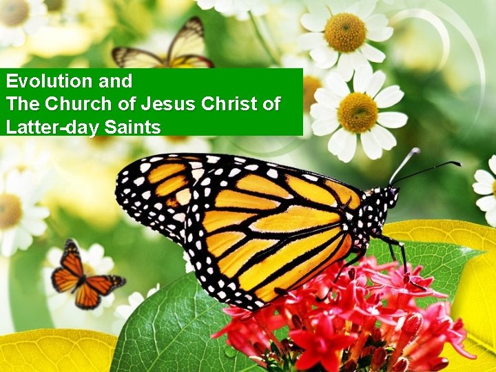 Evolution and The Church of Jesus Christ of