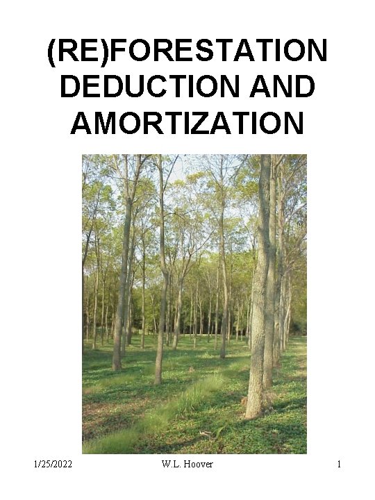 REFORESTATION DEDUCTION AND AMORTIZATION 1252022 W L Hoover