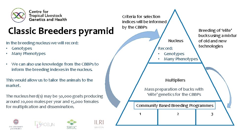 The Million Bucks Concept Emily Clark 1 and