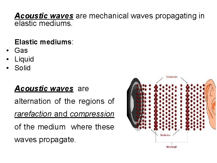 Lecture 4 BIOACOUSTICS Plan of the lecture 1