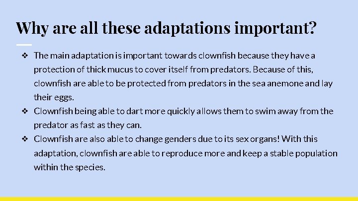 Introduction To Clownfish Sophia Torres Isabella Orsolini Matthew
