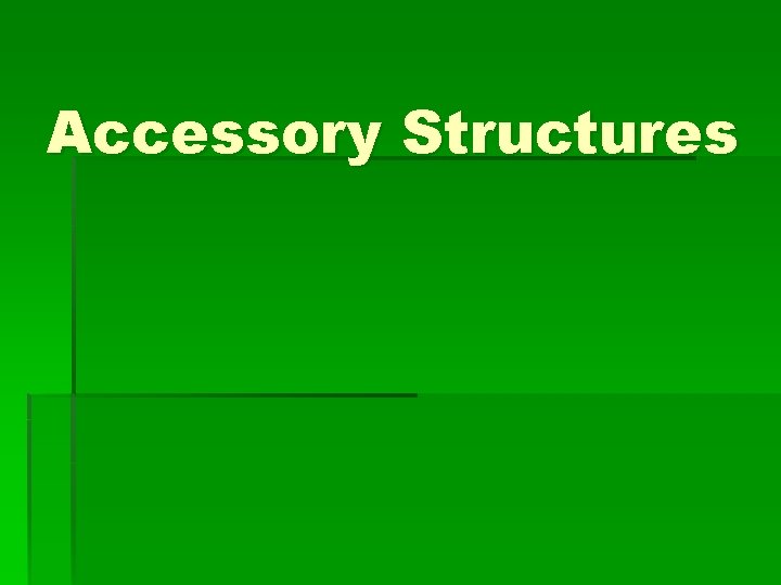 The Muscular System Muscular System The body has