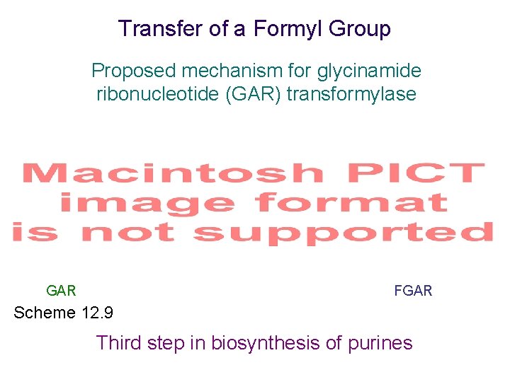The Organic Chemistry of EnzymeCatalyzed Reactions Chapter 12