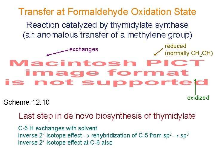 The Organic Chemistry of EnzymeCatalyzed Reactions Chapter 12