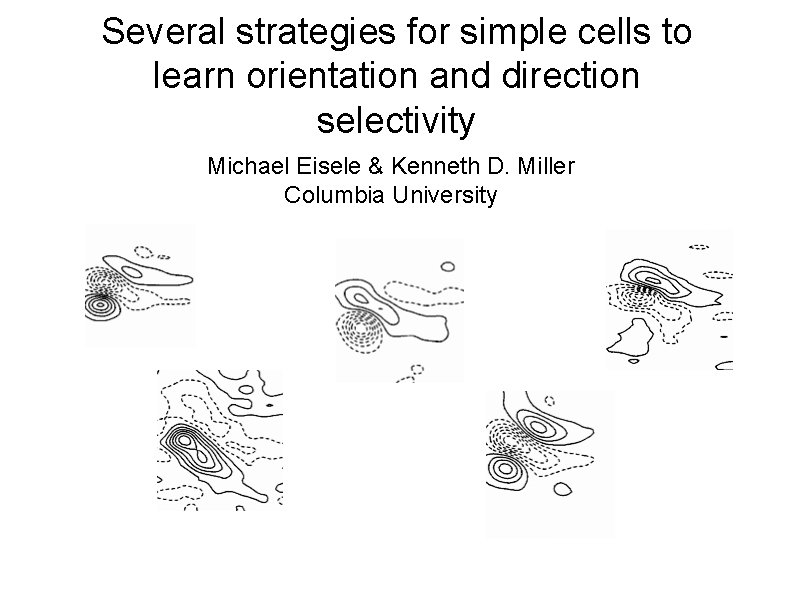 Several strategies for simple cells to learn orientation
