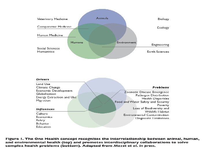ONE HEALTH SYSTEMS THINKING ONE HEALTH AND THE