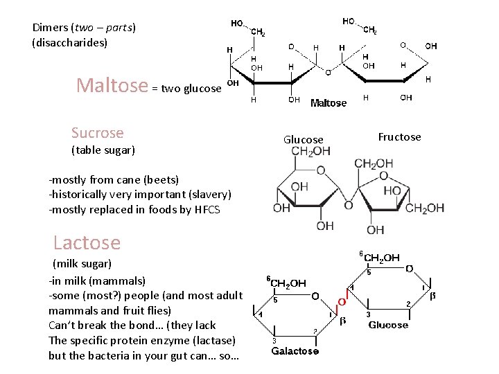 Stuff about carbohydrates CH 20 C 6 H