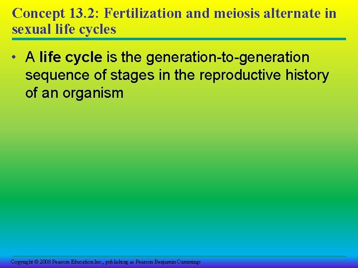 Chapter 13 Meiosis and Sexual Life Cycles Overview