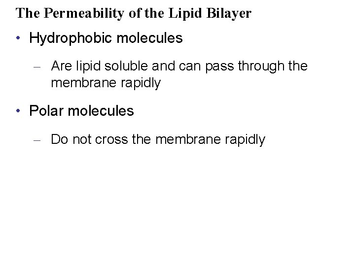 Membrane Structure and Function The plasma membrane Is