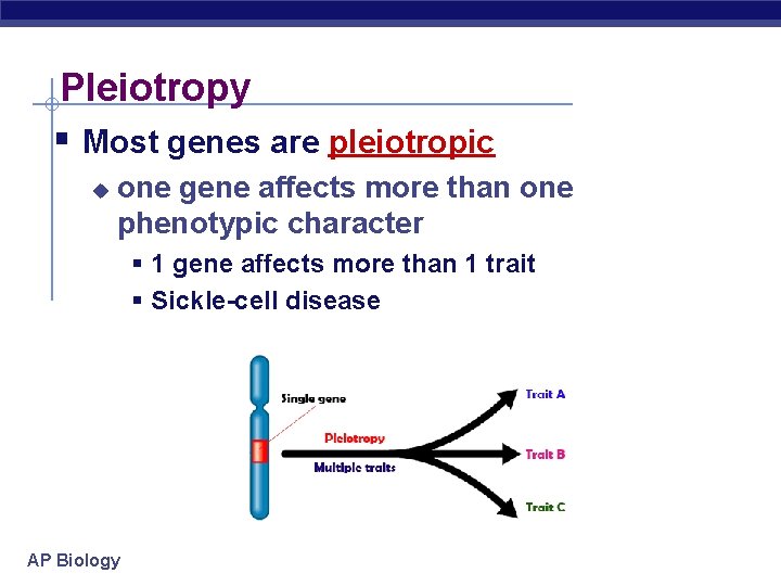 Beyond Mendels Laws of Inheritance AP Biology 2006
