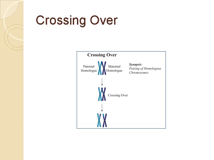Meiosis the basis of sexual reproduction Section 6
